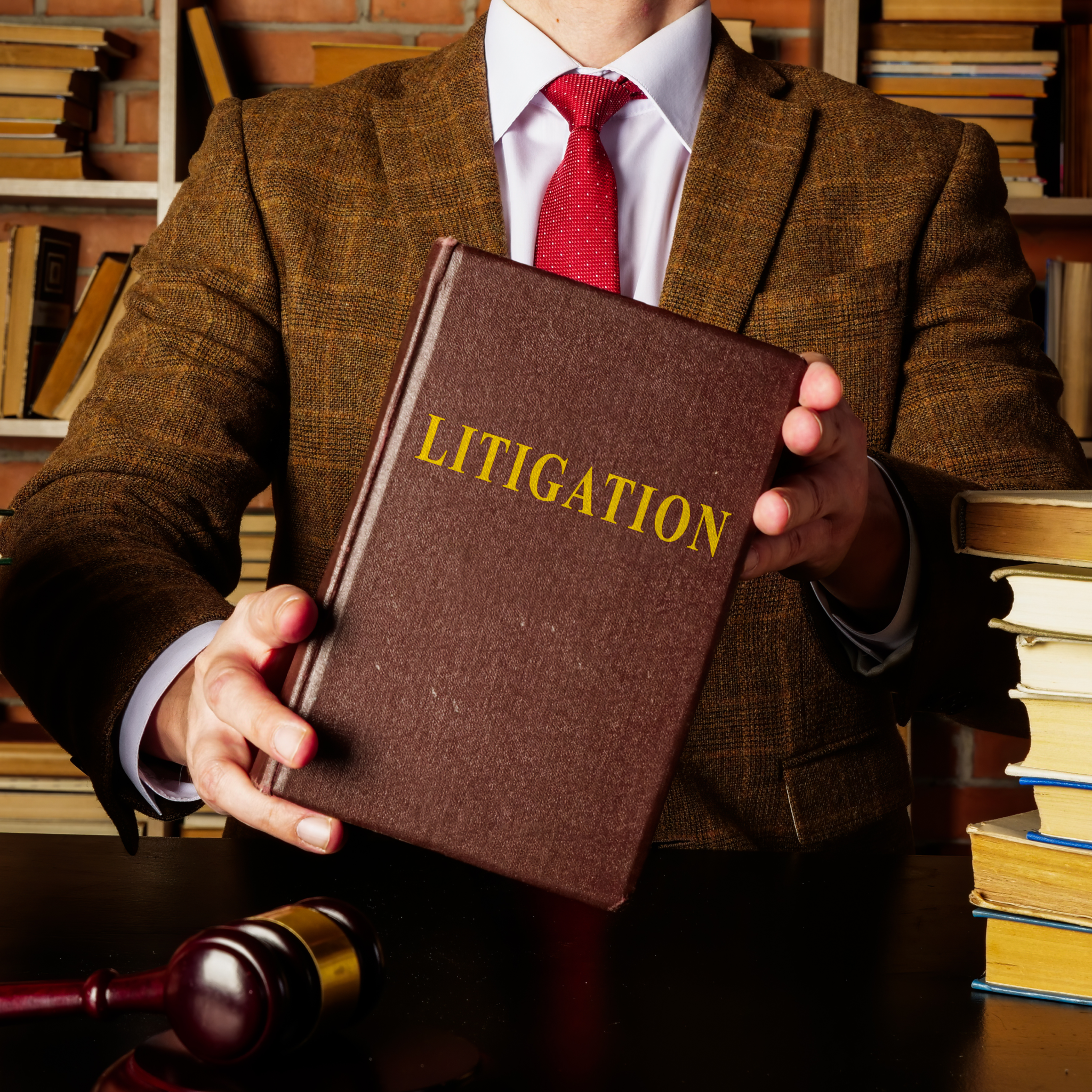 Litigation - BIP Law Firm